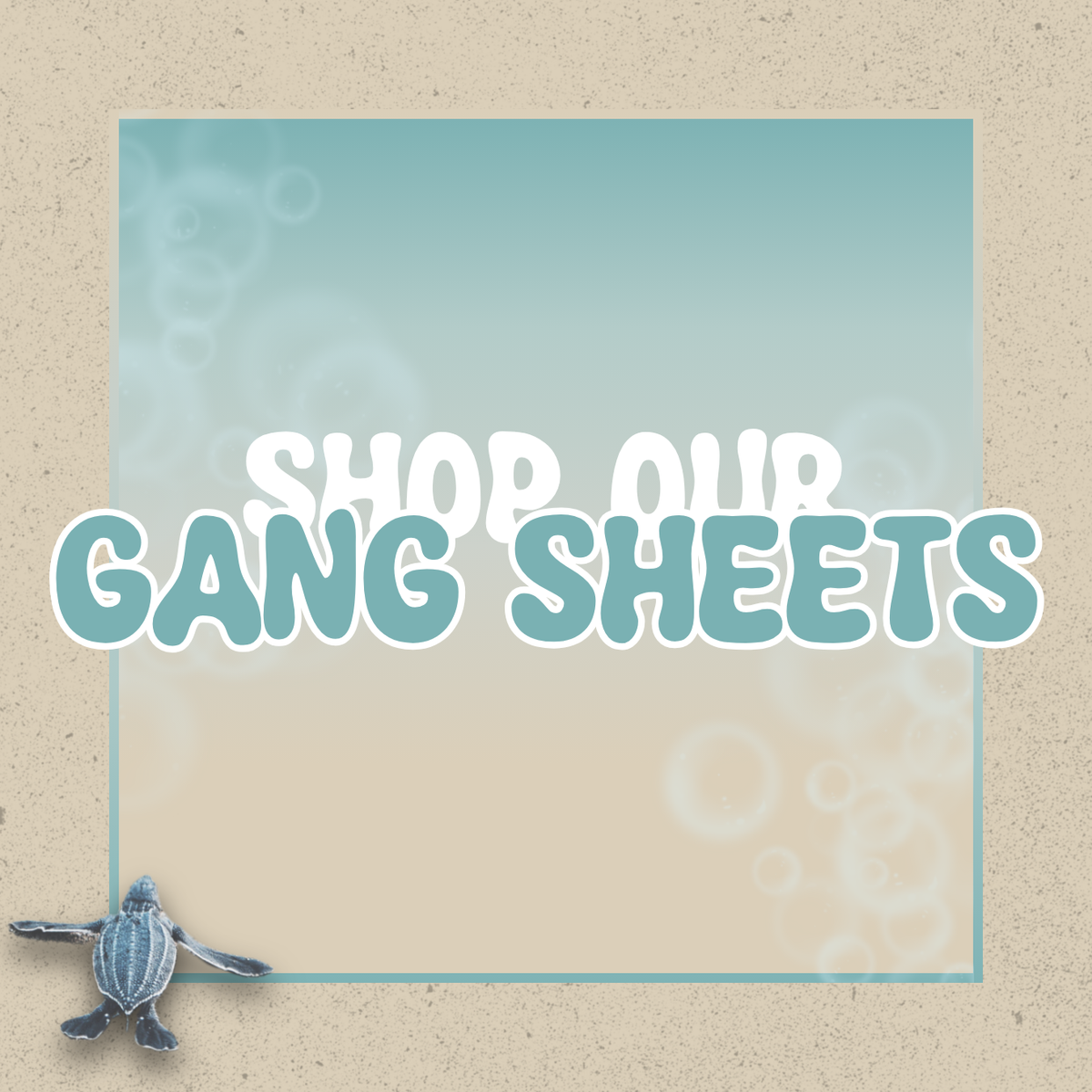 GANG – Turtle Dane Co