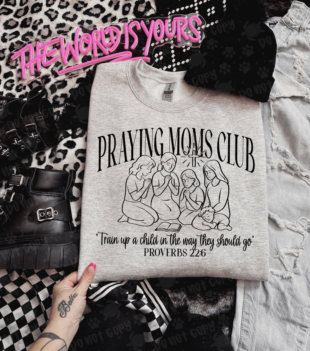 Proverbs 22:6 - DTF Print – Turtle Dane Co